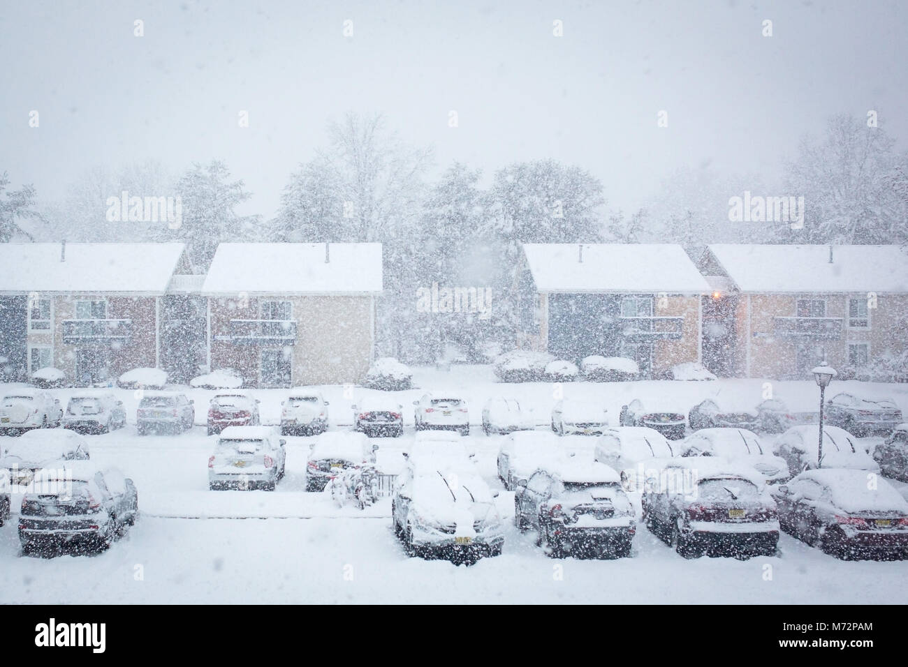 Night heavy frost hi-res stock photography and images - Alamy