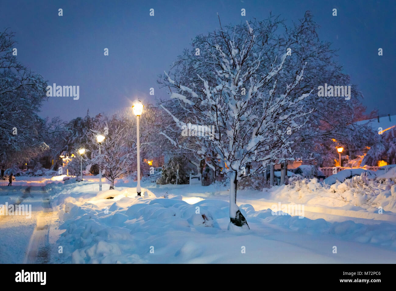 Heavy winter snow after storm at night with street lights Stock Photo ...