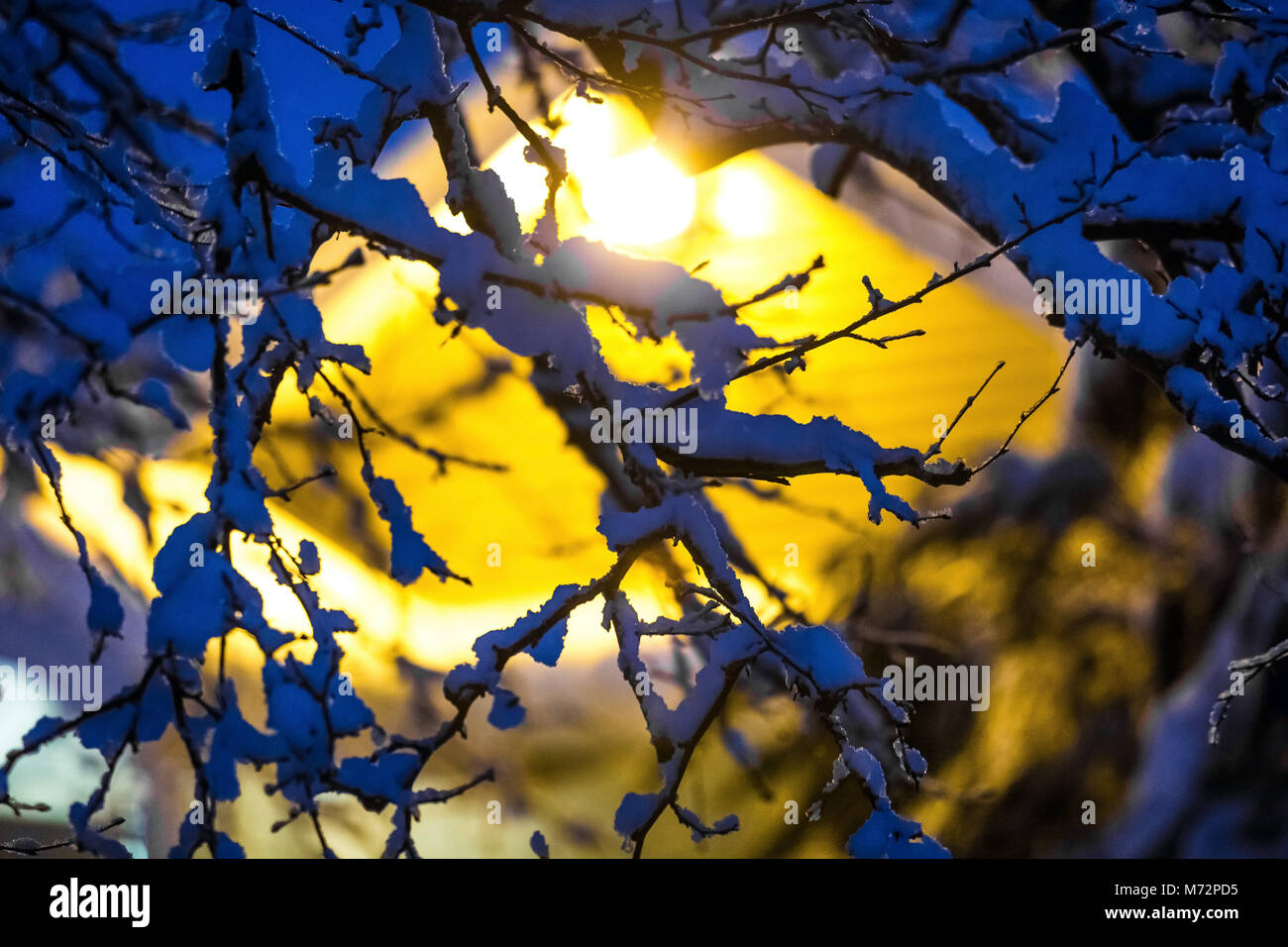 Night village under heavy snow storm country Stock Photo - Alamy