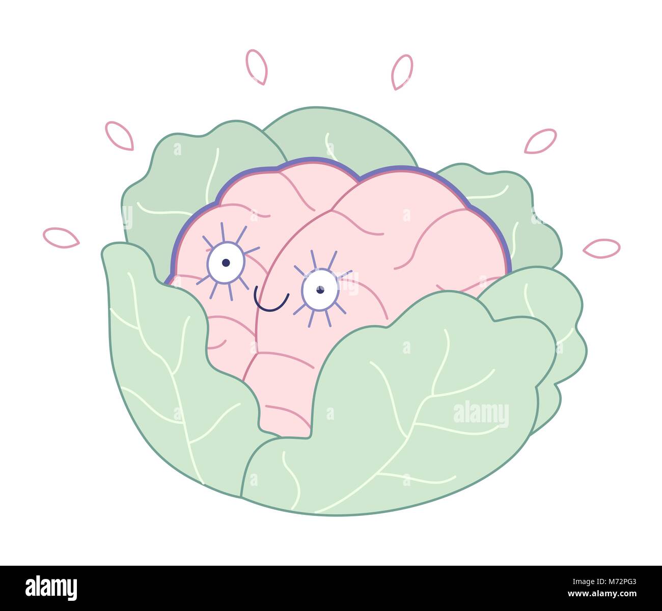 Brain anatomy baby Stock Vector Images - Alamy