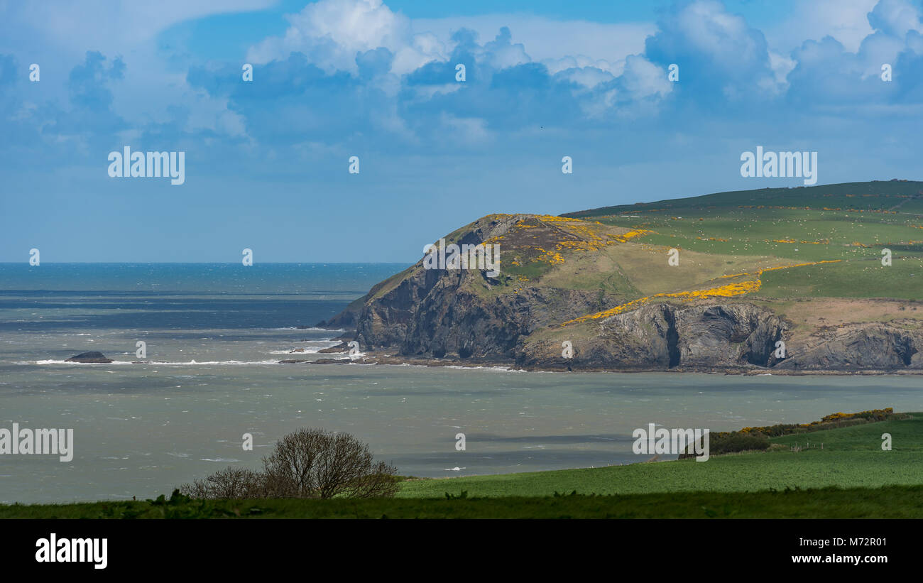 Fishguard Wales High Resolution Stock Photography and Images - Alamy
