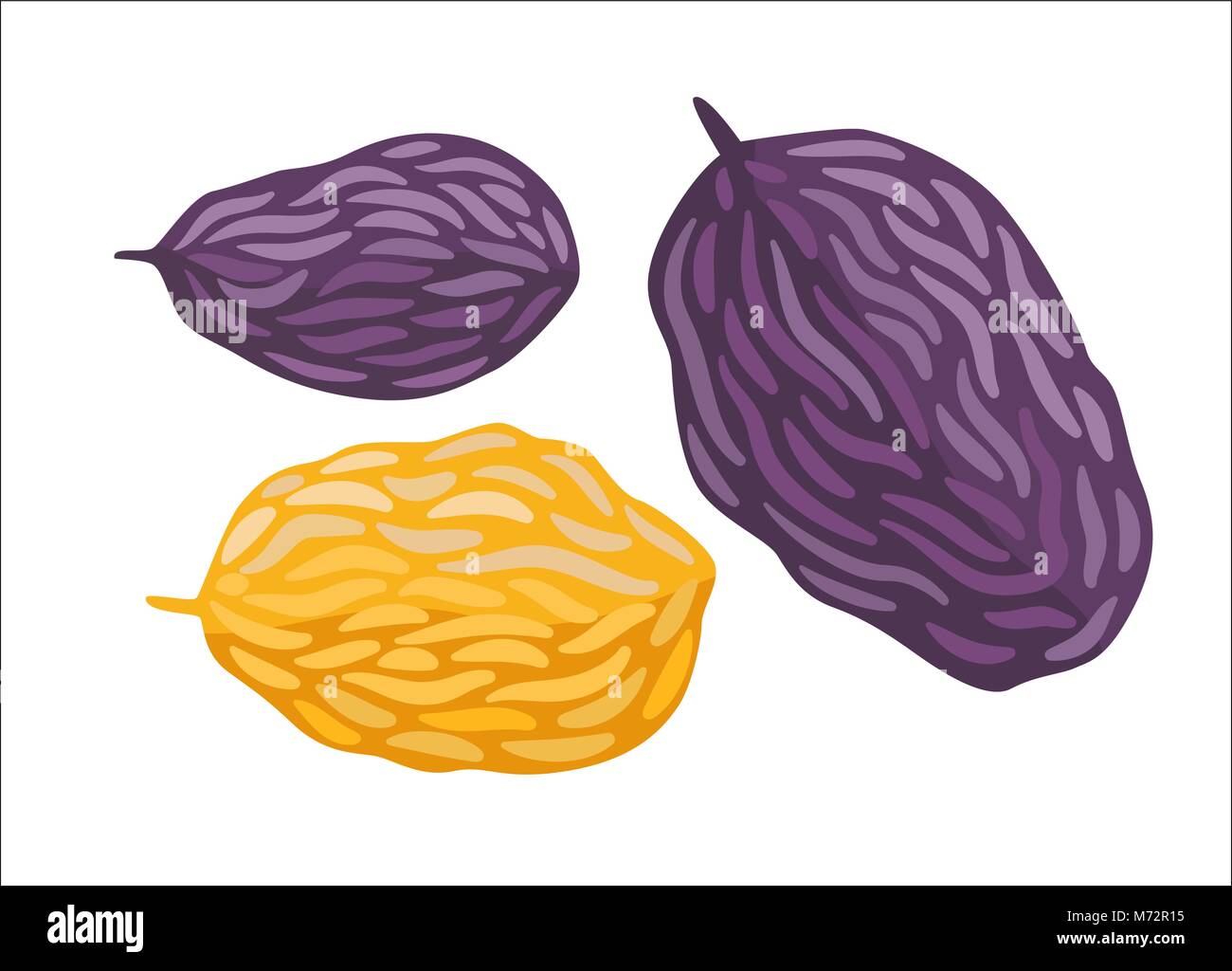 Education raisin Stock Vector Images - Alamy