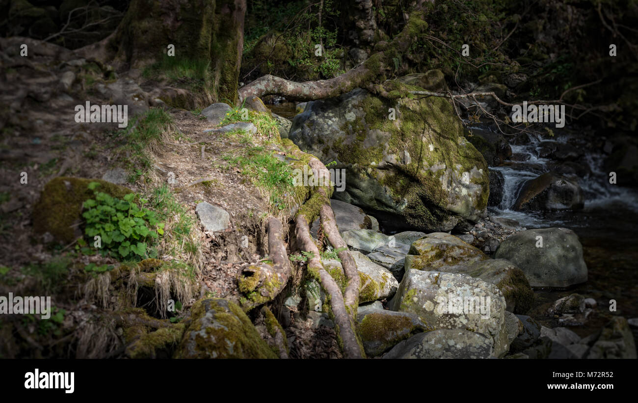 Small river waterfall in Kirkstone Pass, Lake District Stock Photo - Alamy