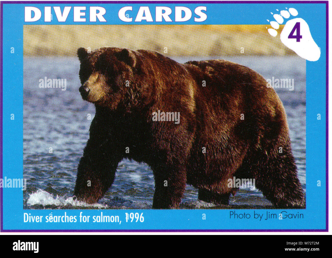 diver card Stock Photo - Alamy