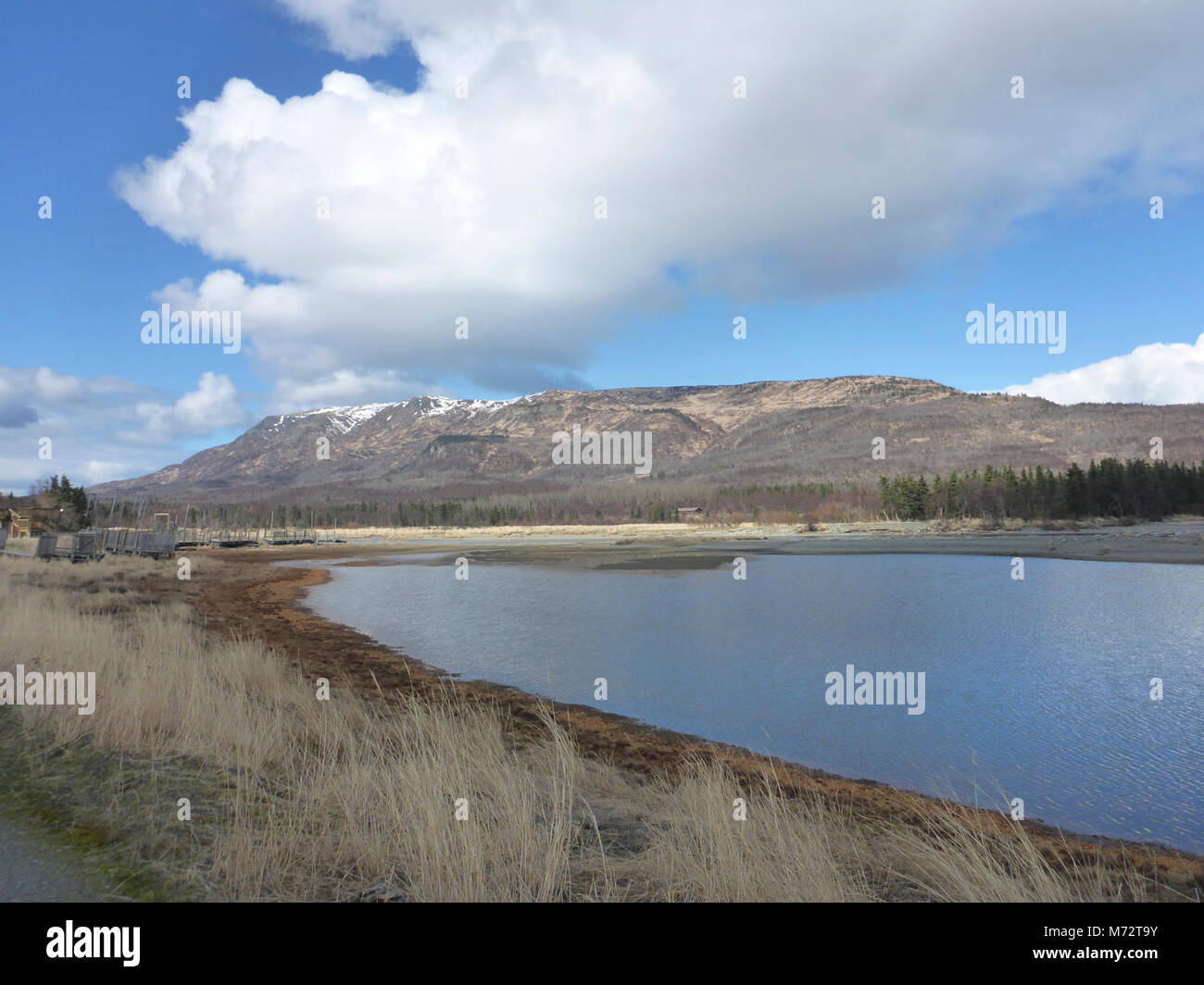 Dumpling Mountain, Brooks Camp Stock Photo - Alamy