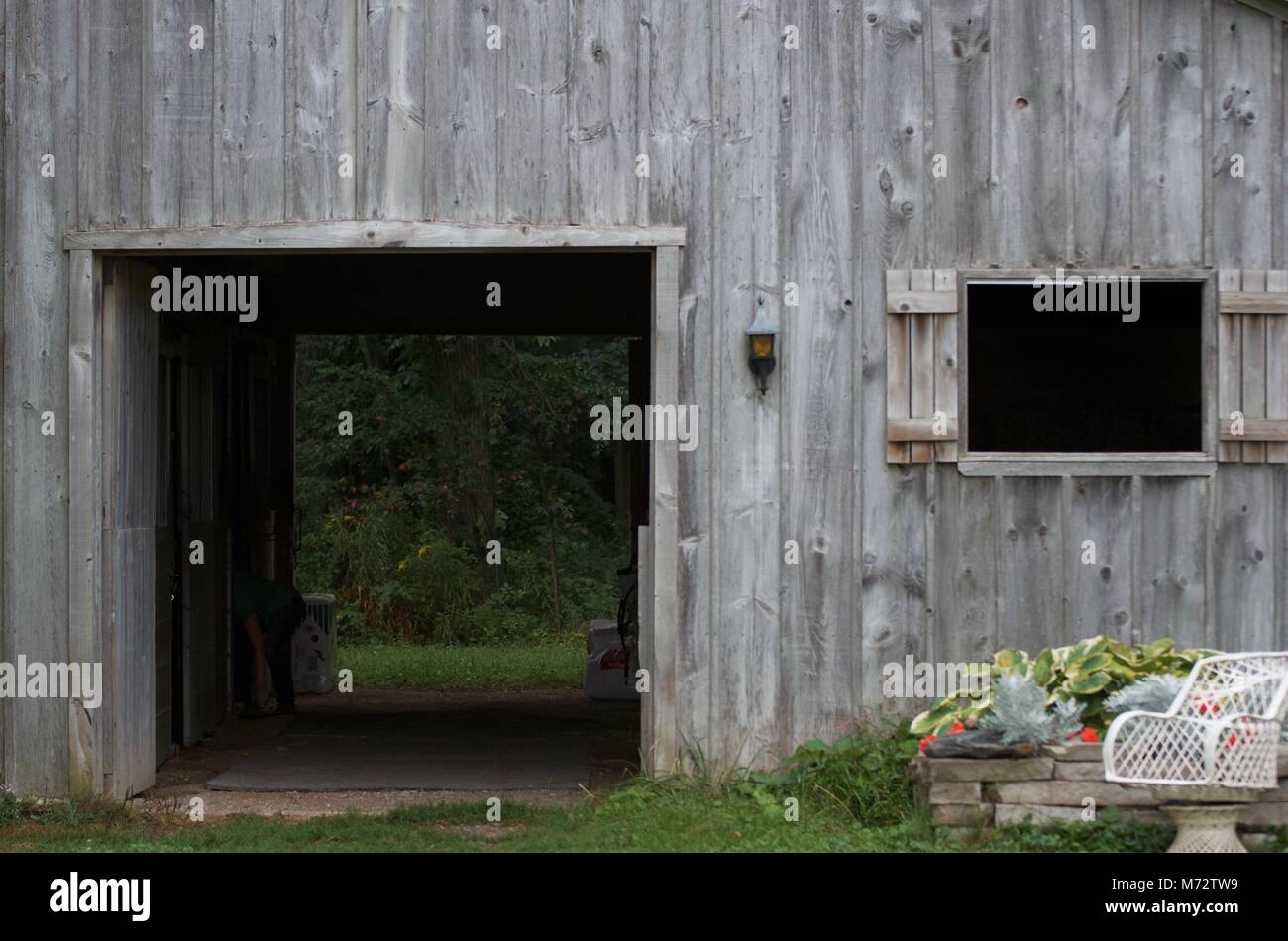 a bright summer day out at the farm Stock Photo - Alamy
