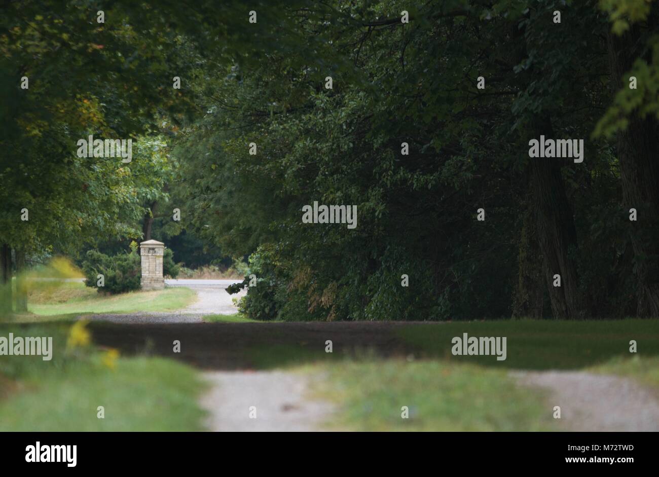 a bright summer day out at the farm Stock Photo - Alamy