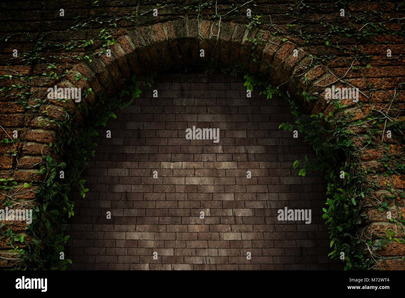 Castle gate is locked permanently Stock Photo - Alamy