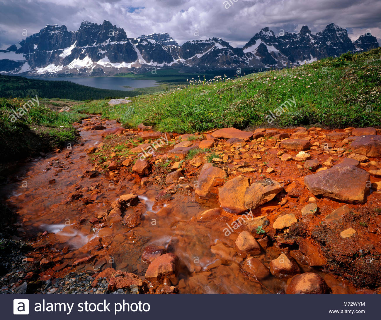 Iron Mineral Stock Photos & Iron Mineral Stock Images - Alamy