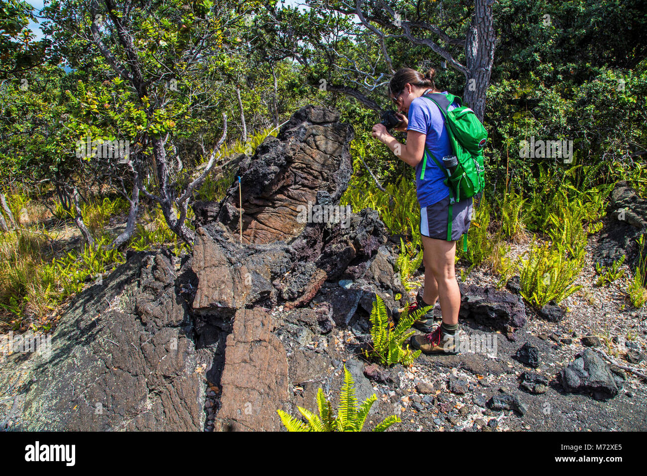 Lava tree mold Mauna Loa flow Stock Photo - Alamy