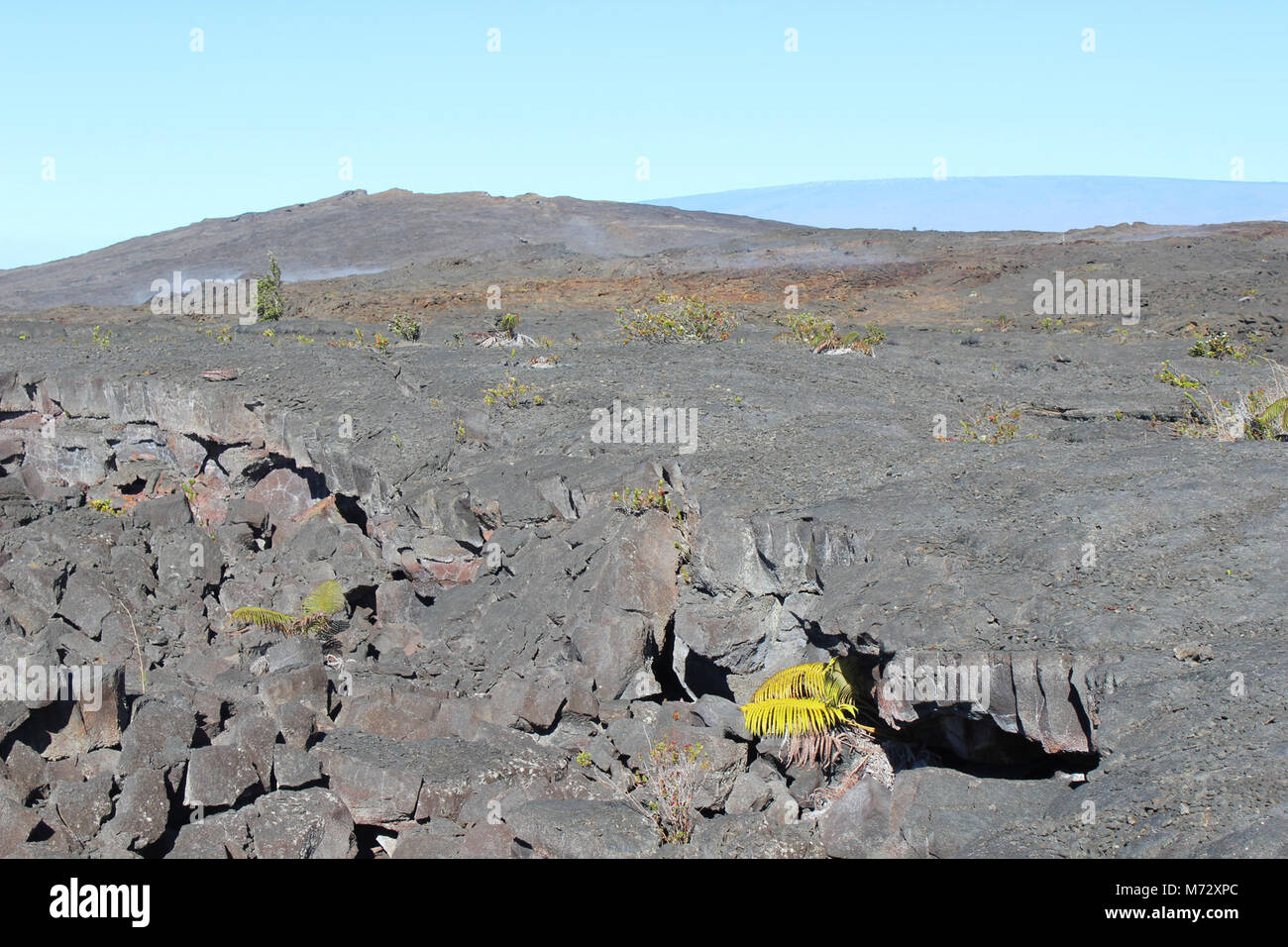 Mauna Ulu and Mauna Loa Stock Photo - Alamy