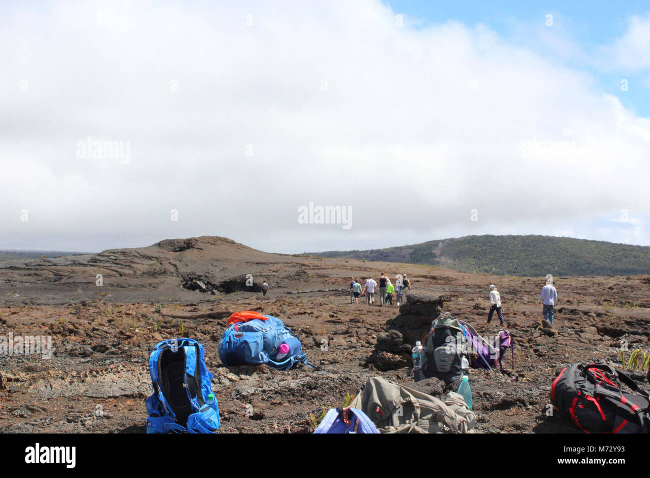 Pack off exploring Stock Photo - Alamy