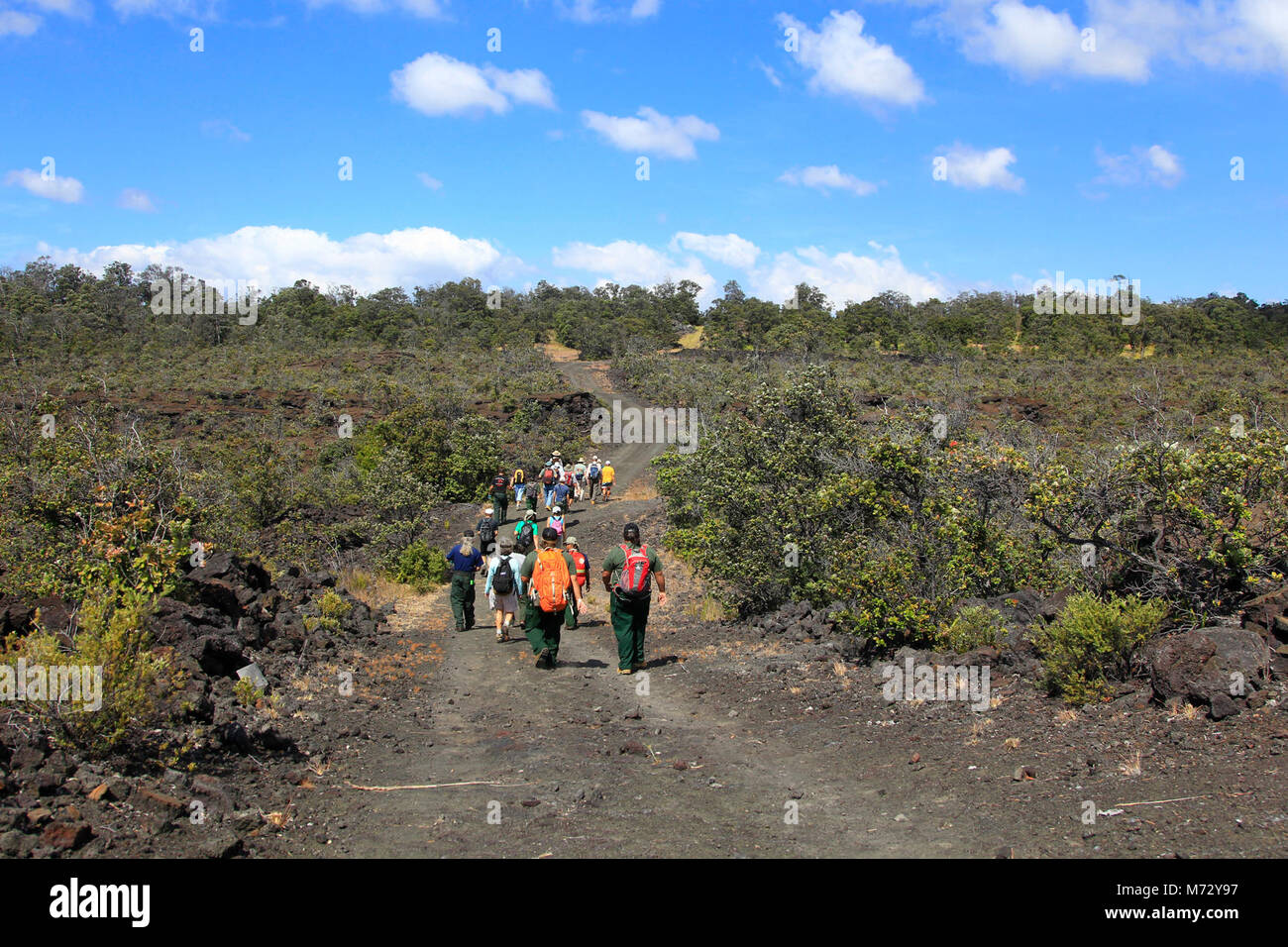 Palm Trail flow Stock Photo - Alamy