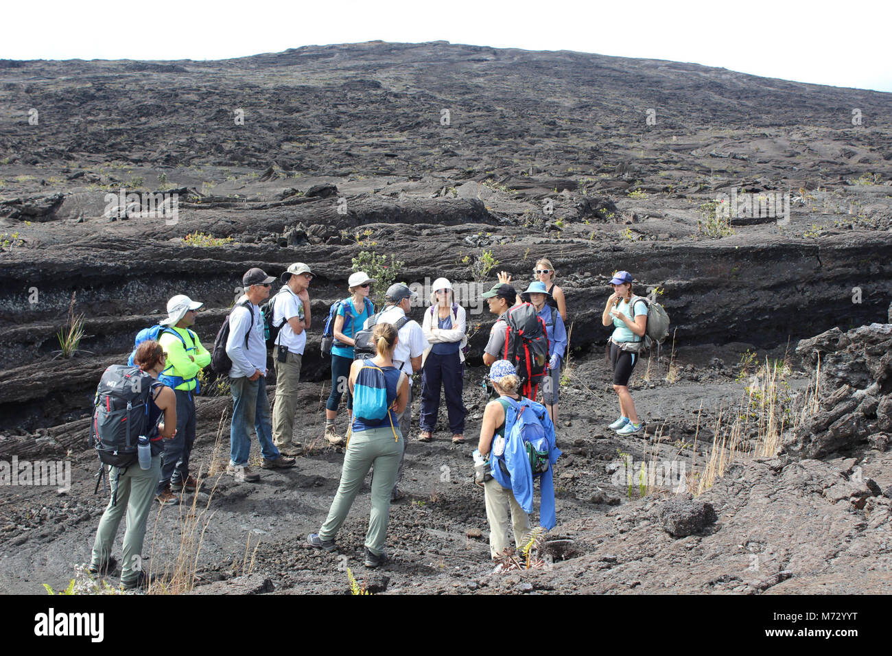 Ranger talk at the channelized lava flows . With Mauna Ulu (growing ...