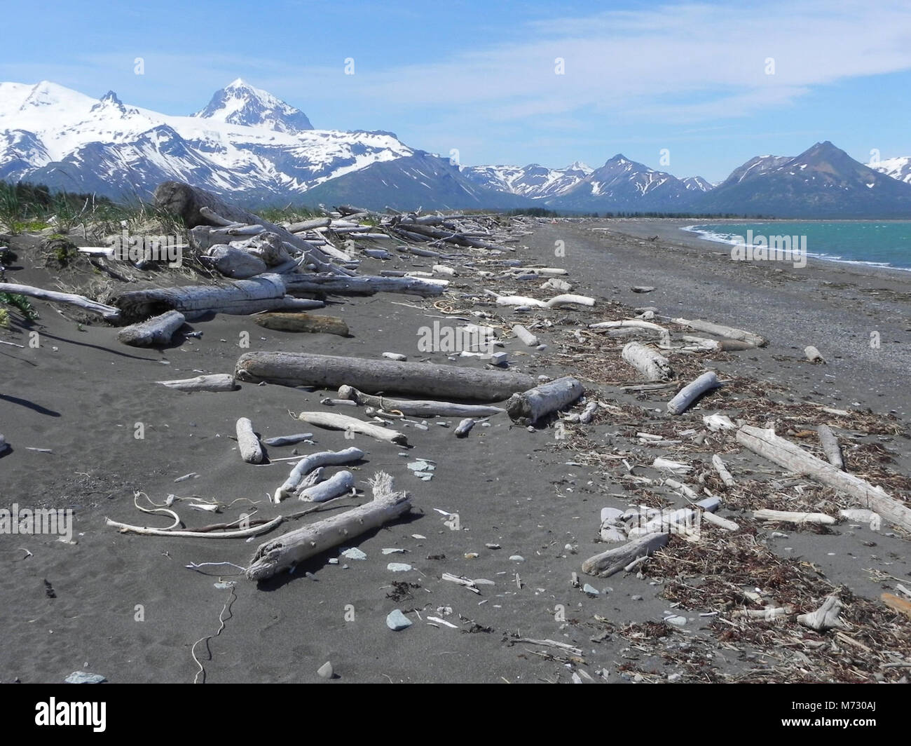 south Hallo Bay beach after cleanup, GYRE Trip, Hallo Bay Stock Photo ...