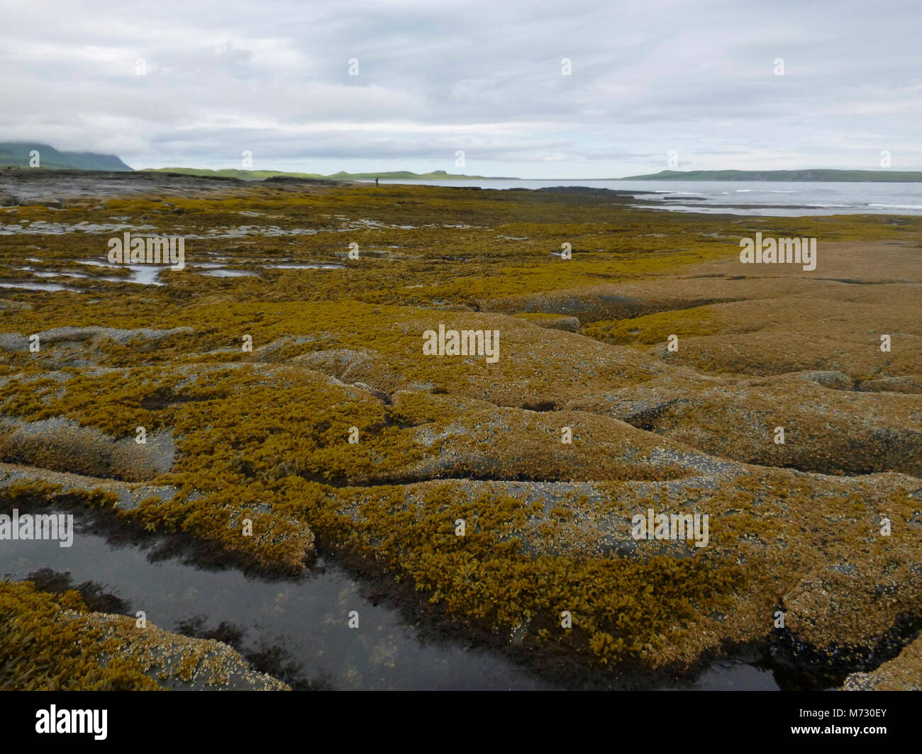 Sukoi Bay Stock Photo - Alamy