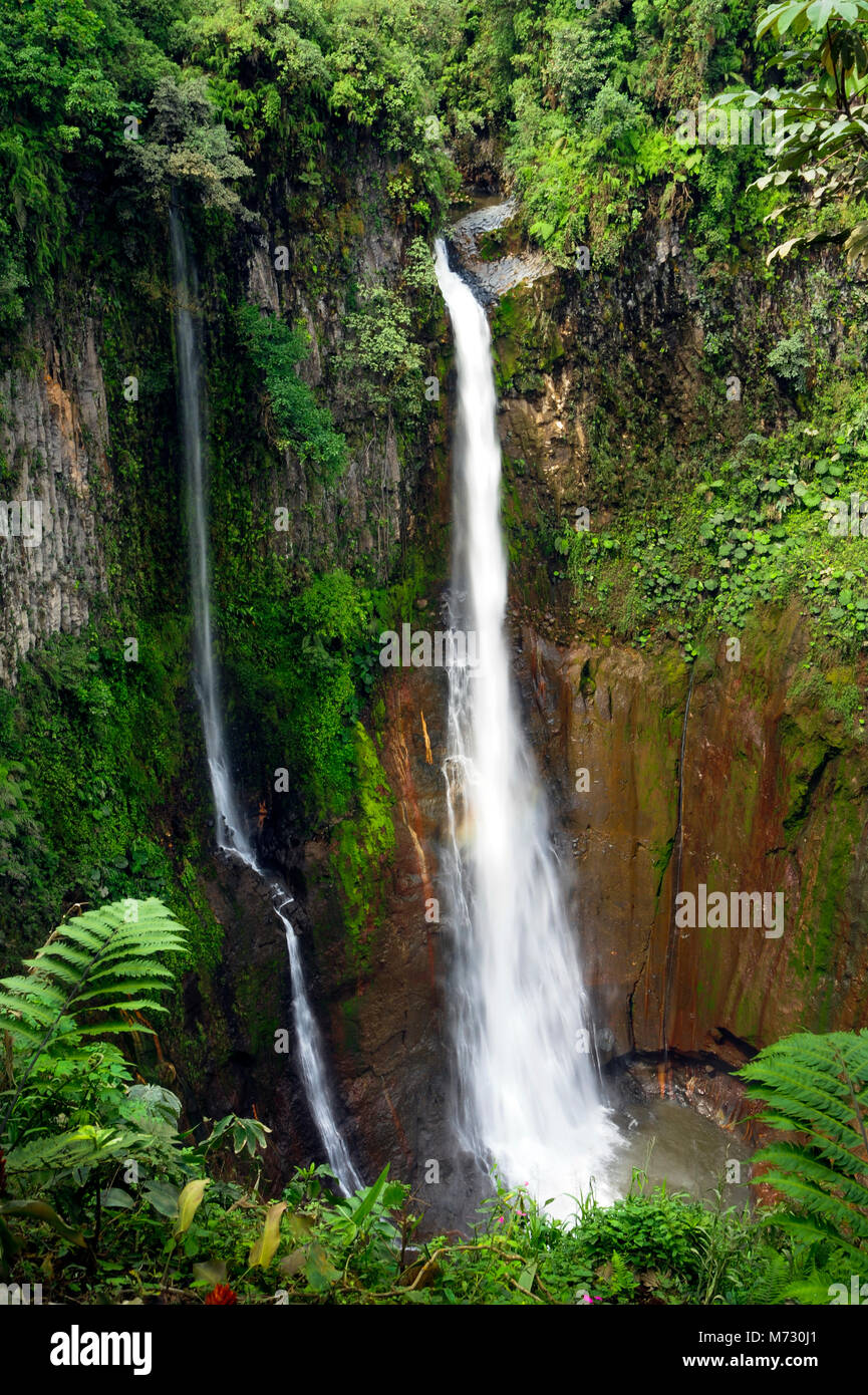 Catarata Del Toro waterfall stretches at an impressive 270 feet in an ...