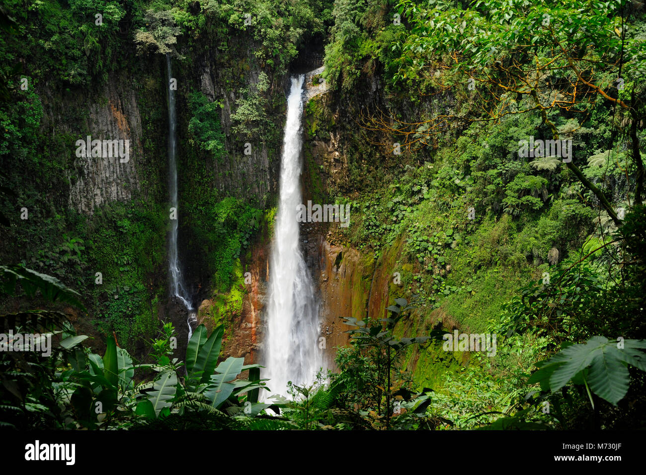 Catarata Del Toro waterfall stretches at an impressive 270 feet in an ...