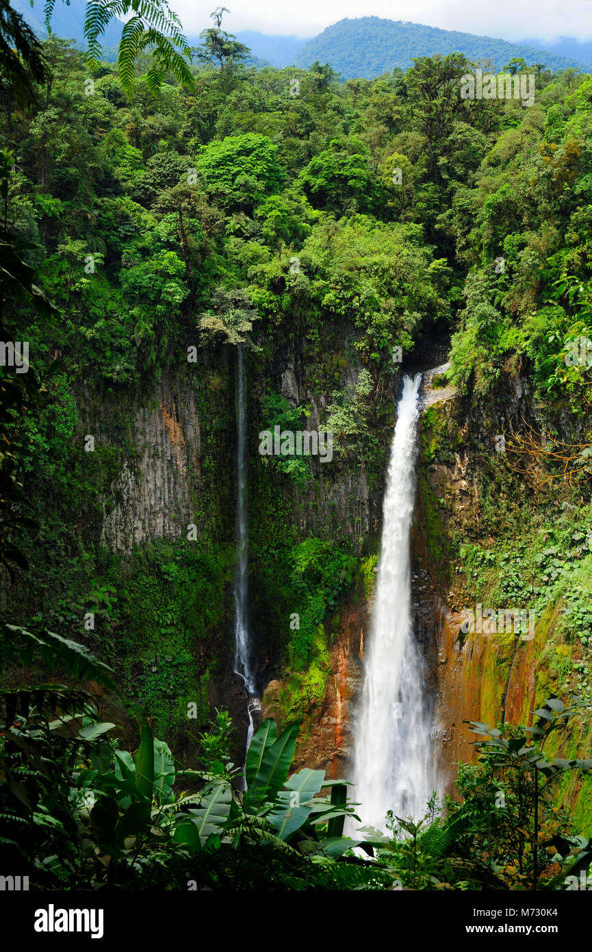 Catarata Del Toro waterfall stretches at an impressive 270 feet in an ...