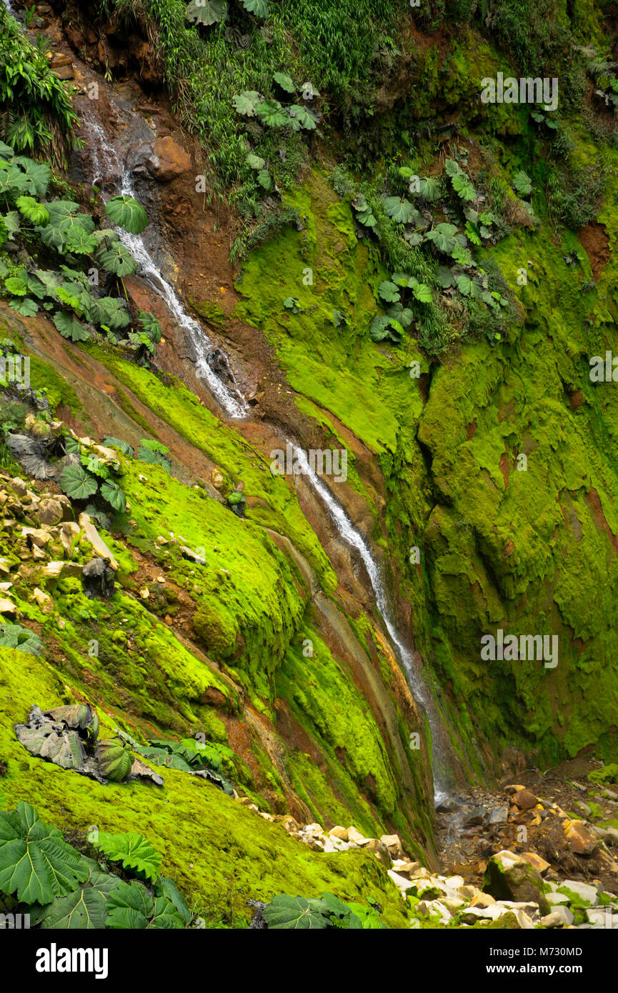 Run down wall hi-res stock photography and images - Alamy