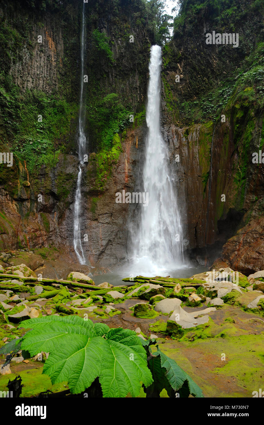Catarata Del Toro waterfall stretches at an impressive 270 feet in an ...