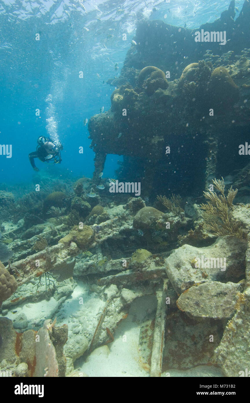 Underwater national parks of usa hi-res stock photography and images ...
