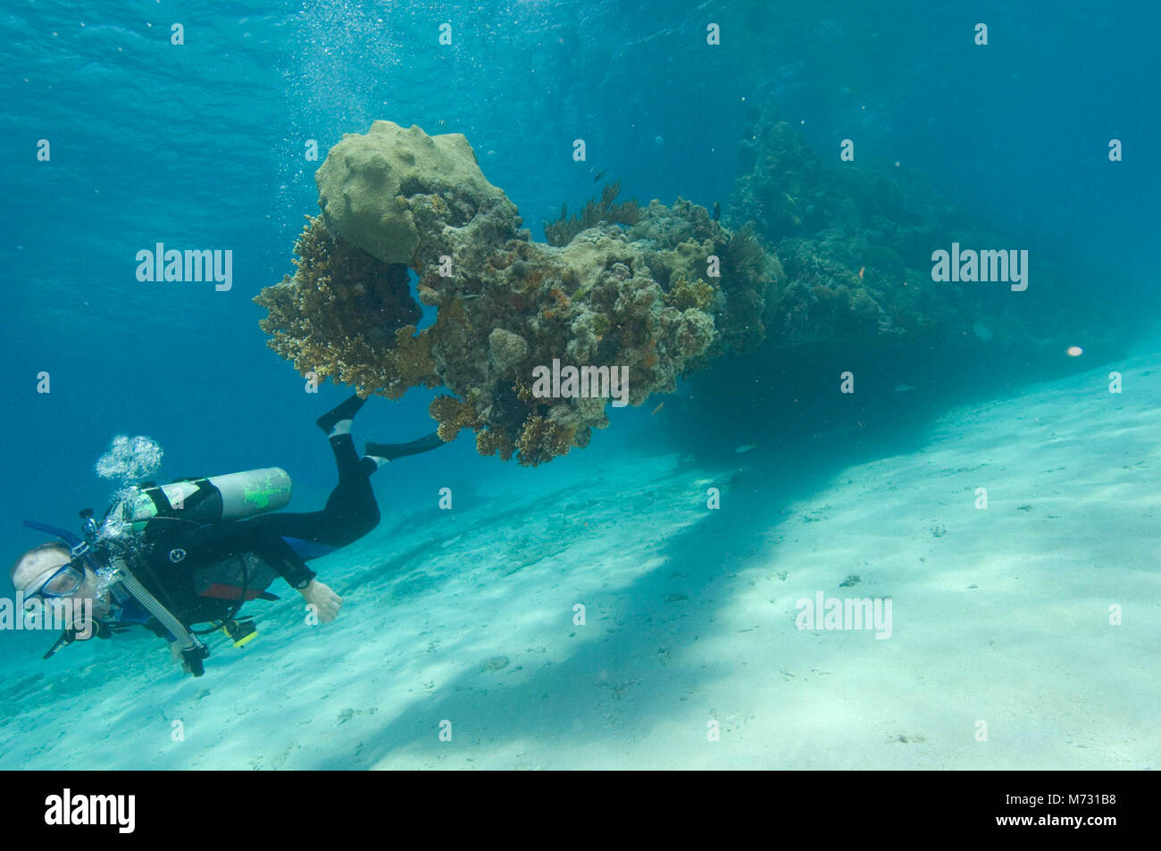 Underwater Explorations Stock Photo - Alamy