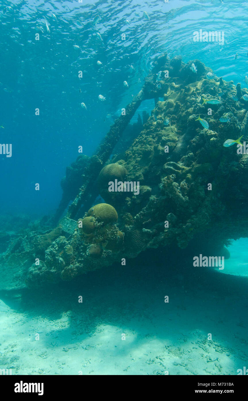 Underwater national parks of usa hi-res stock photography and images ...