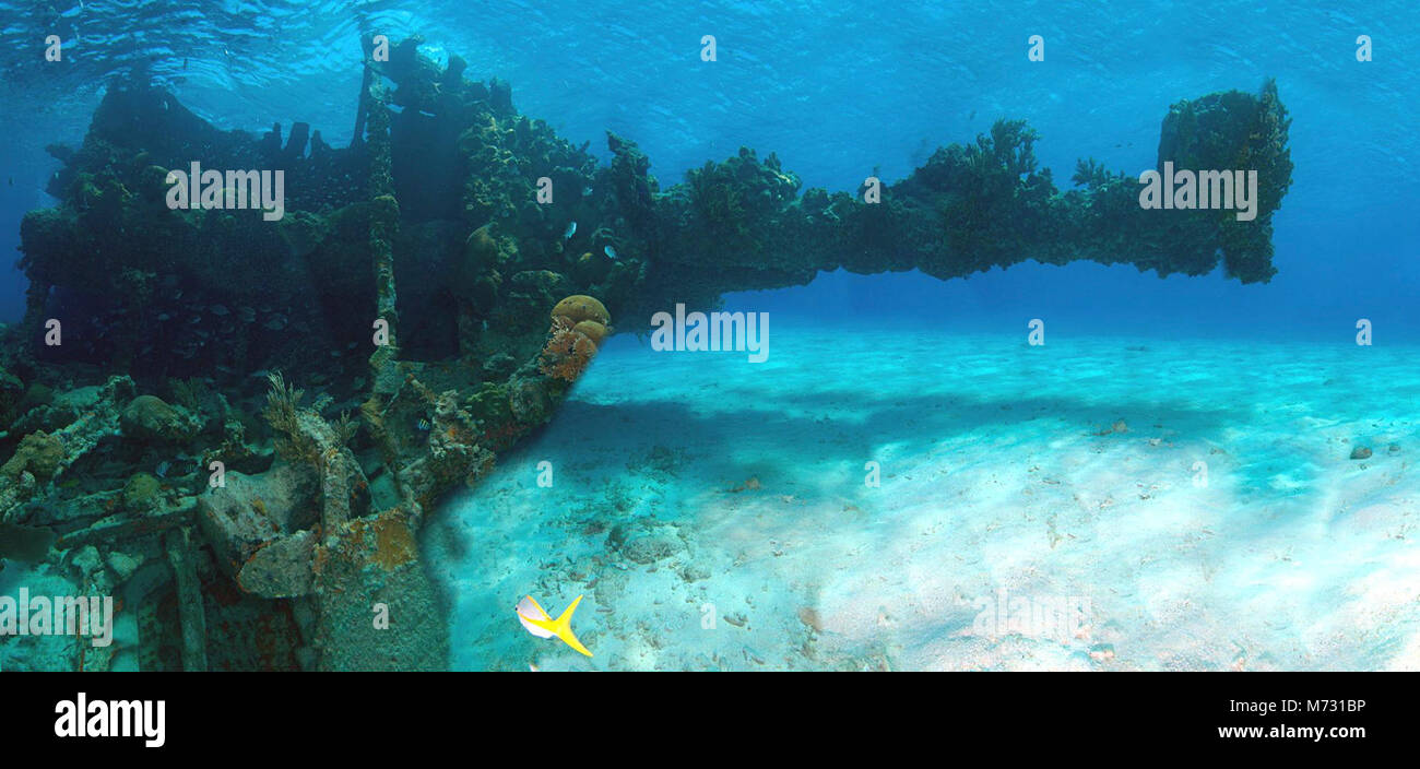 Underwater View Stock Photo - Alamy