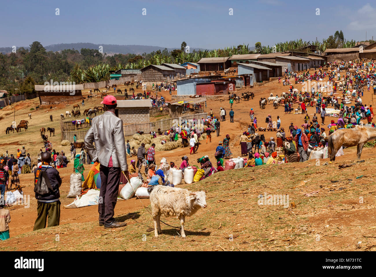 The Famous Saturday Market At The Dorze Village Of Chencha, High Up In ...