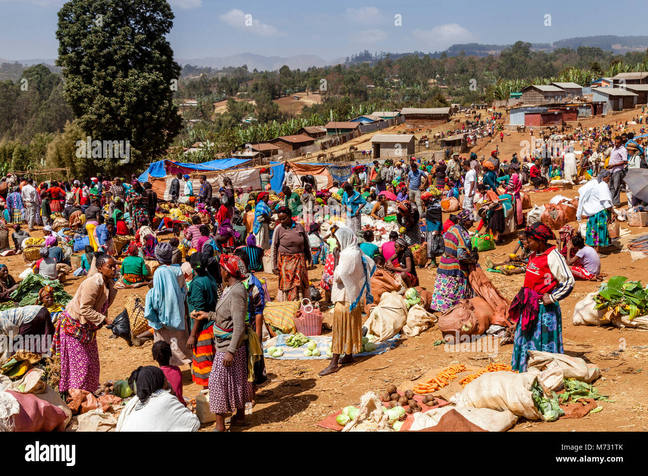 Gamo zone hi-res stock photography and images - Alamy