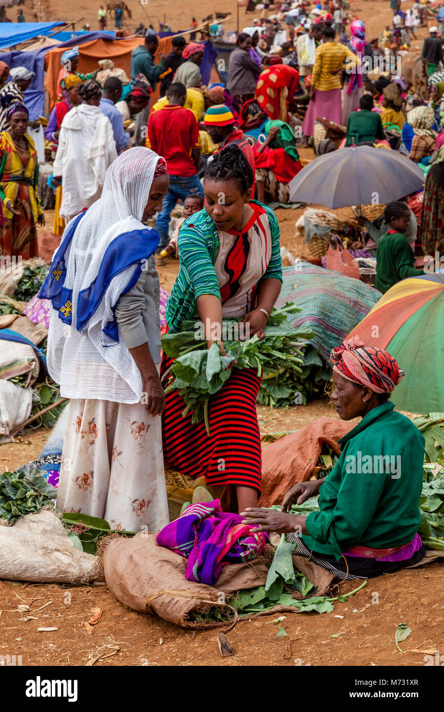 Gamo zone hi-res stock photography and images - Alamy