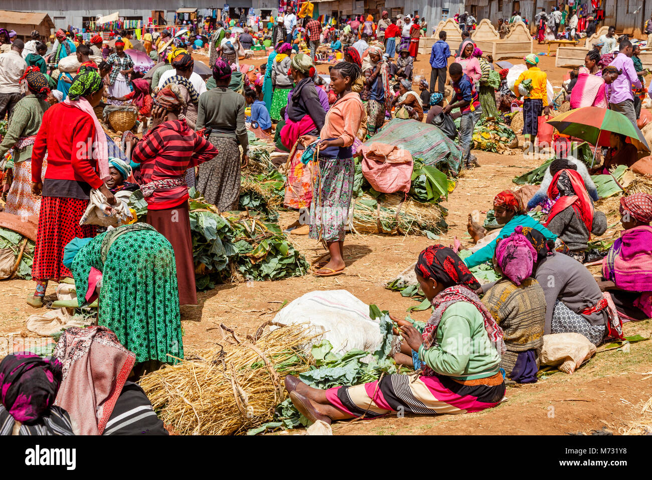 Market Day In Chencha Ethiopia High Resolution Stock Photography and ...