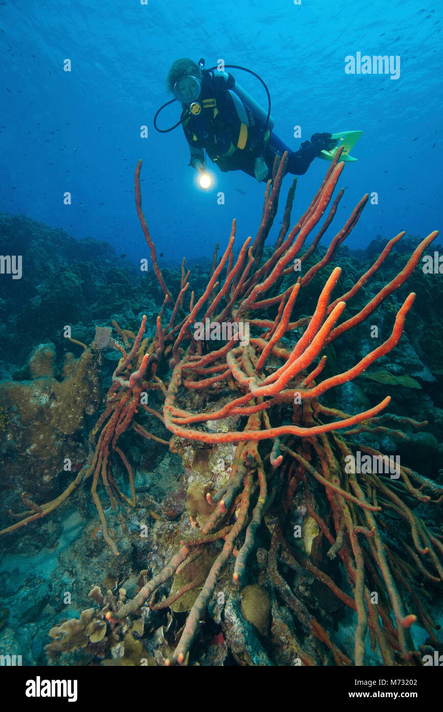 Porenreihen hi-res stock photography and images - Alamy