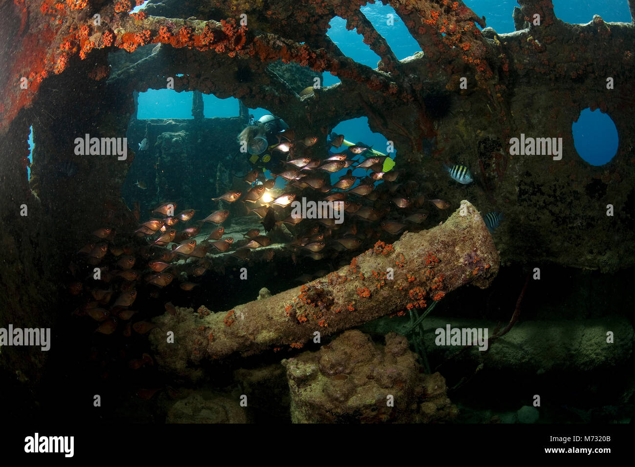 Inside shipwreck hi-res stock photography and images - Alamy