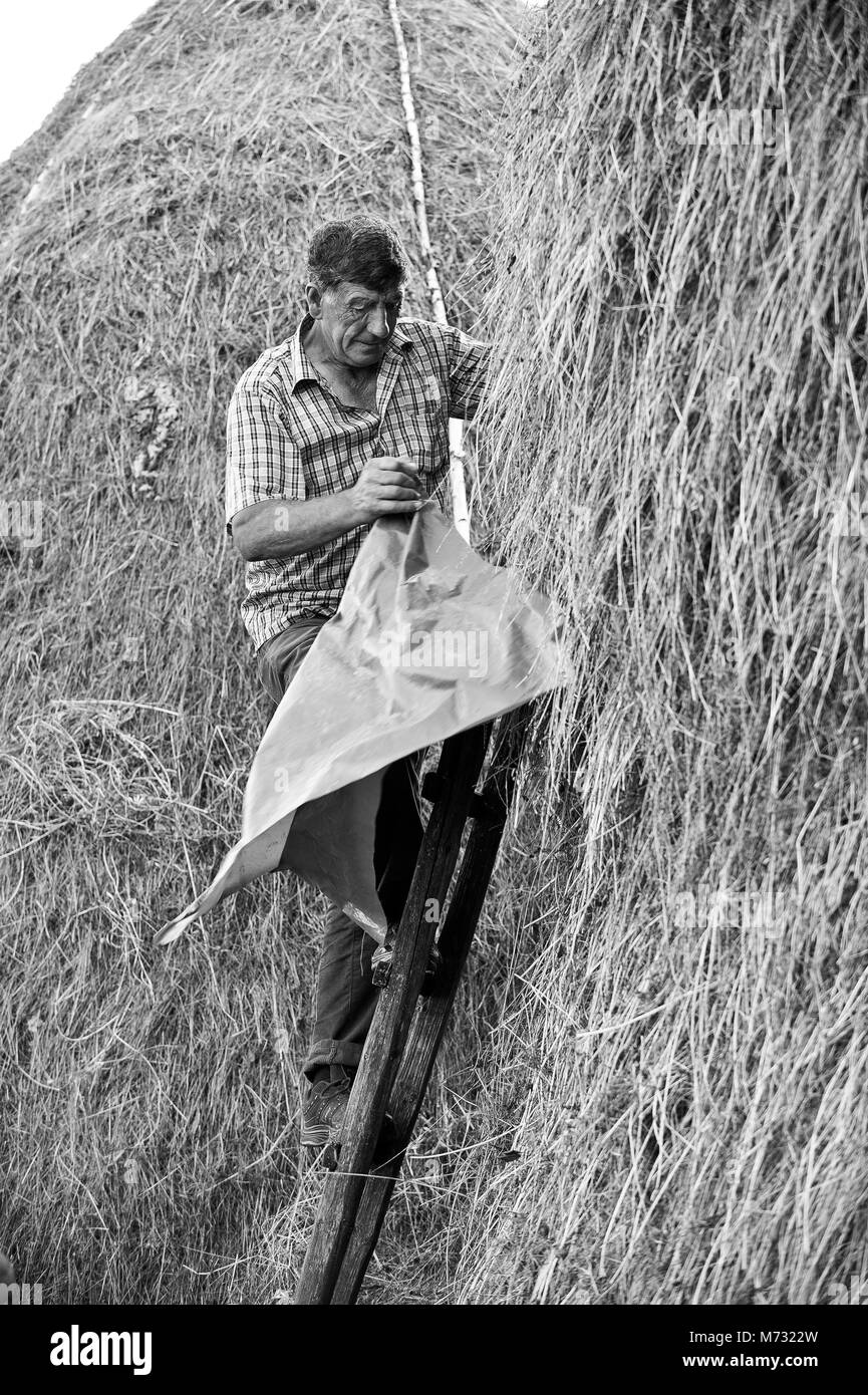 Traditional haystack Black and White Stock Photos & Images - Alamy