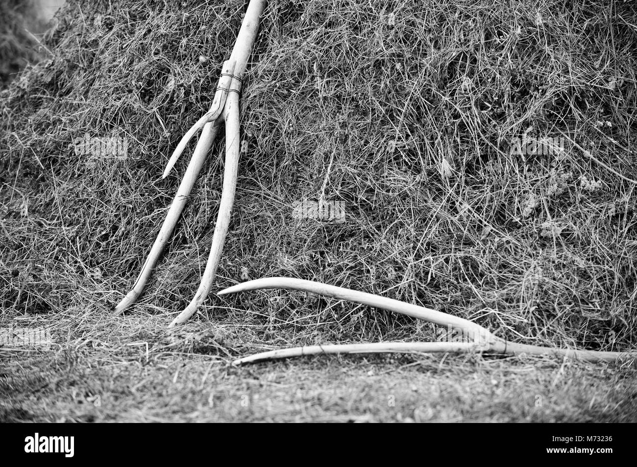 Piling branch hi-res stock photography and images - Alamy