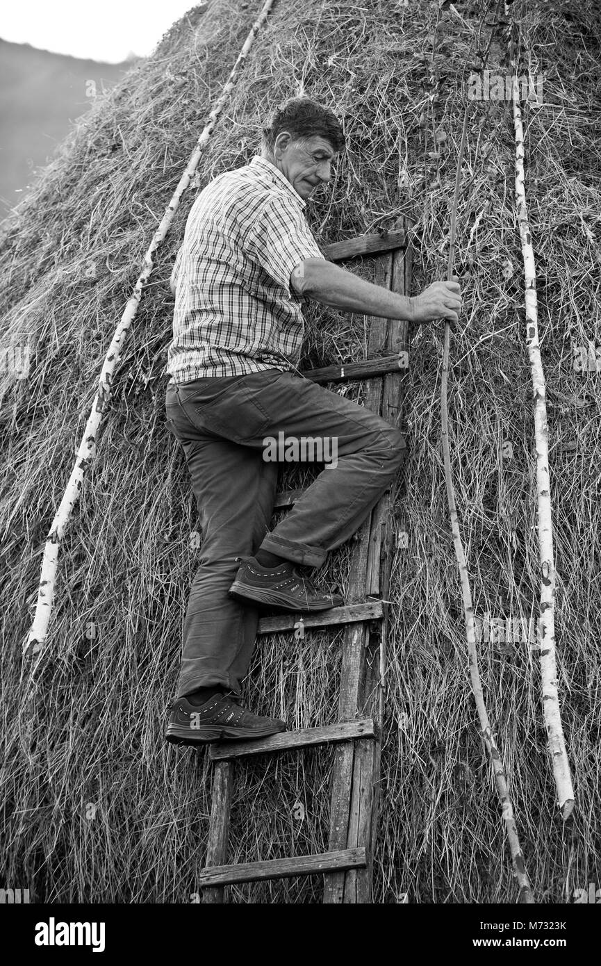 Coming down the ladder hi-res stock photography and images - Alamy