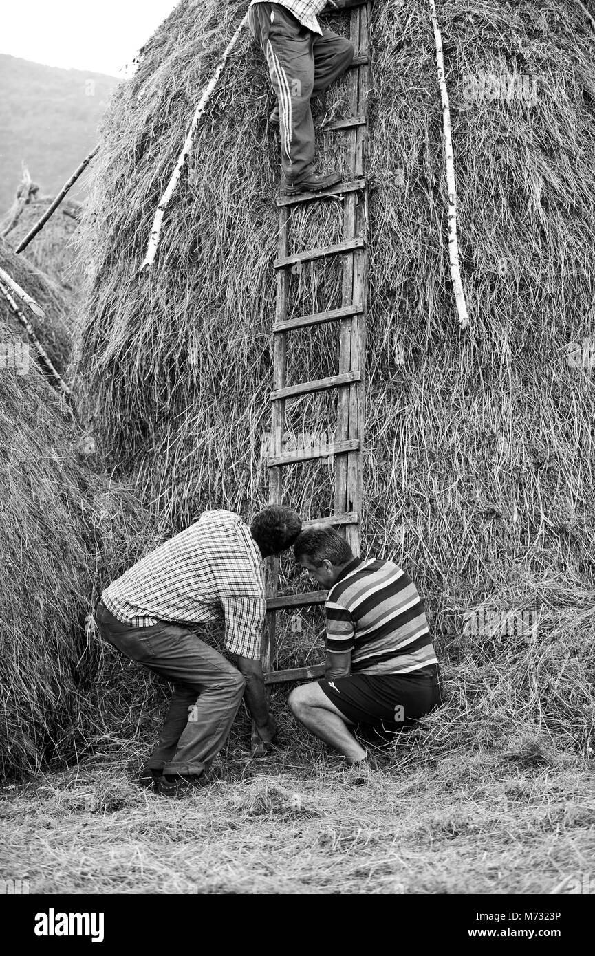 Helping the farmers Black and White Stock Photos & Images - Alamy