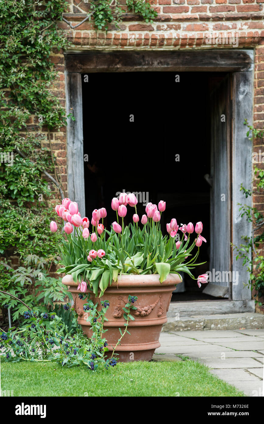 Quintessential English country garden scene landscape with fresh Spring ...