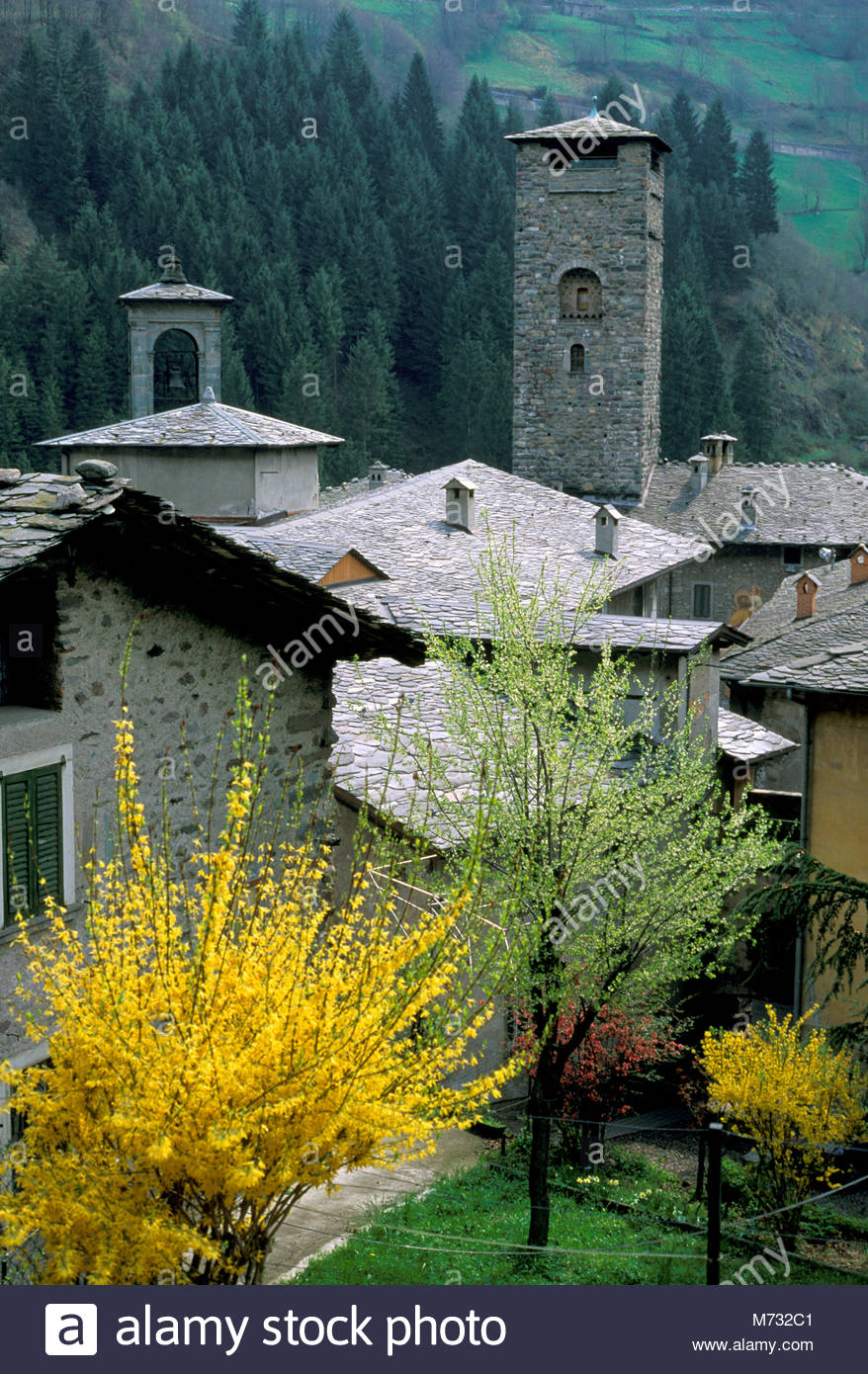 Gromo Stock Photos & Gromo Stock Images - Alamy