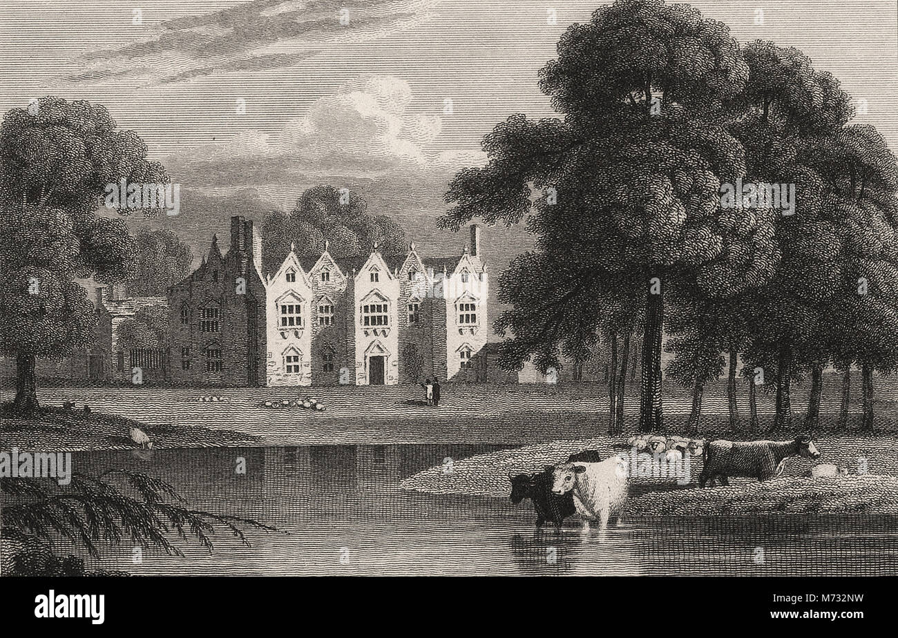 Trevalyn hall denbighshire hi-res stock photography and images - Alamy