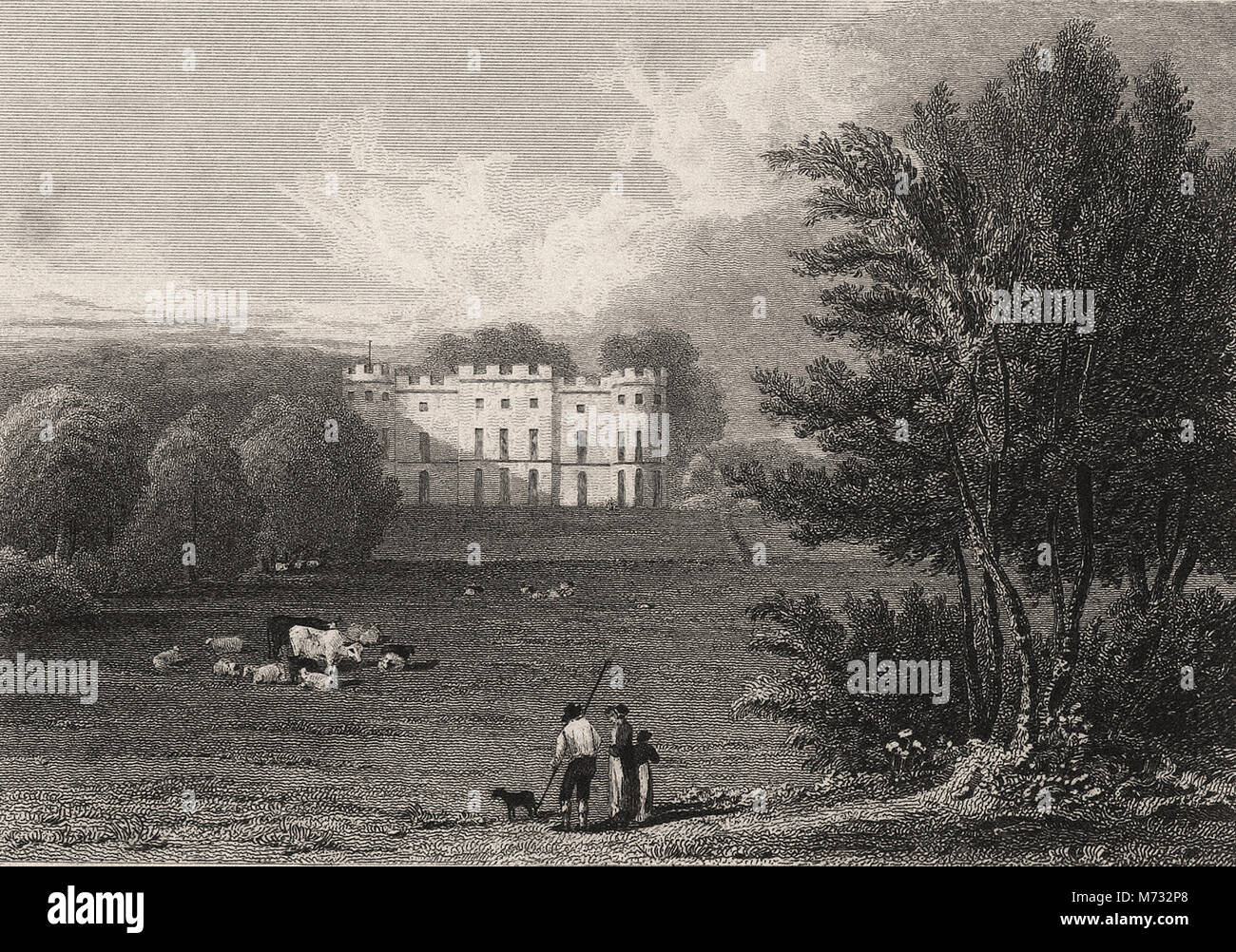 The gnoll hi-res stock photography and images - Alamy