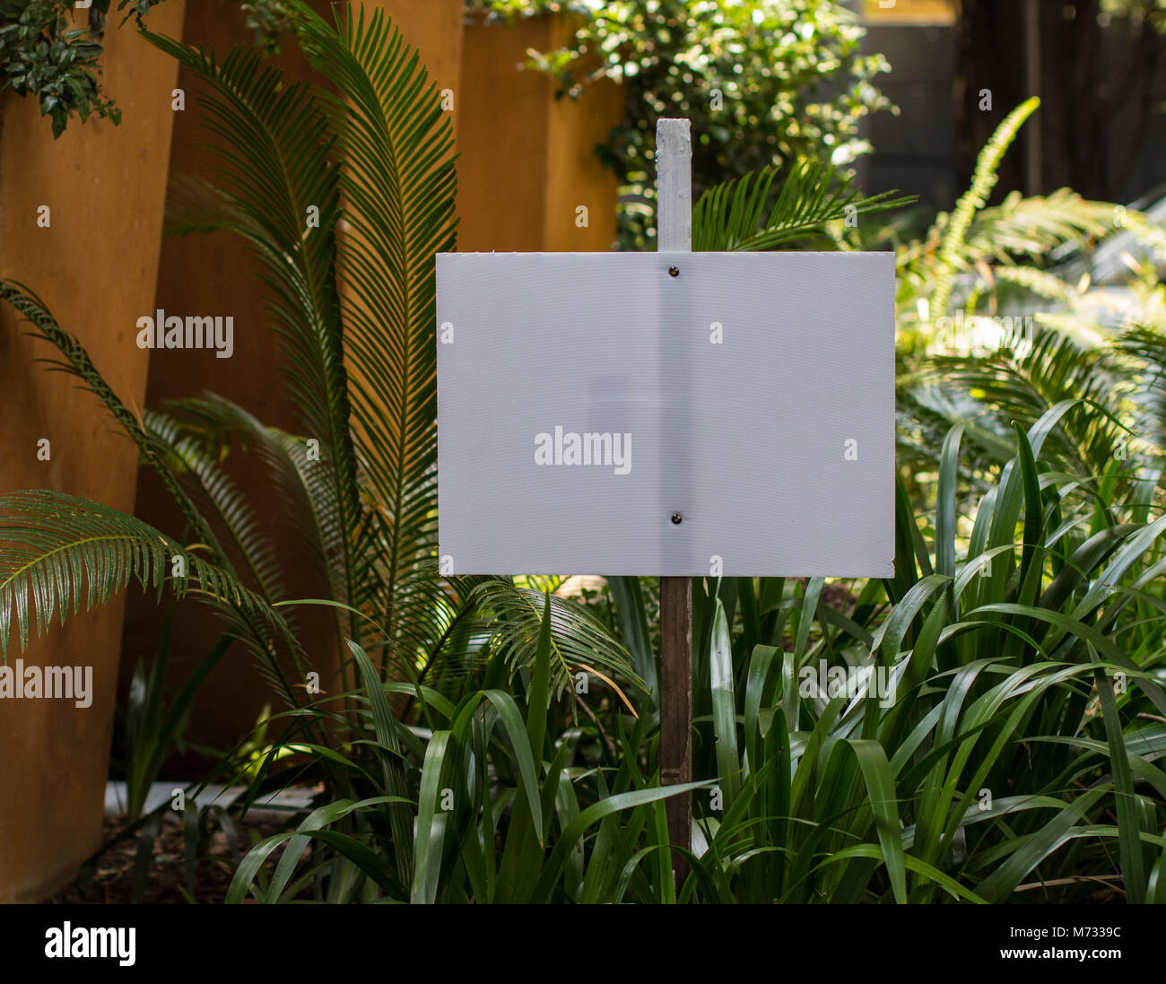 Blank white signboard to insert an own individual message on in a ...