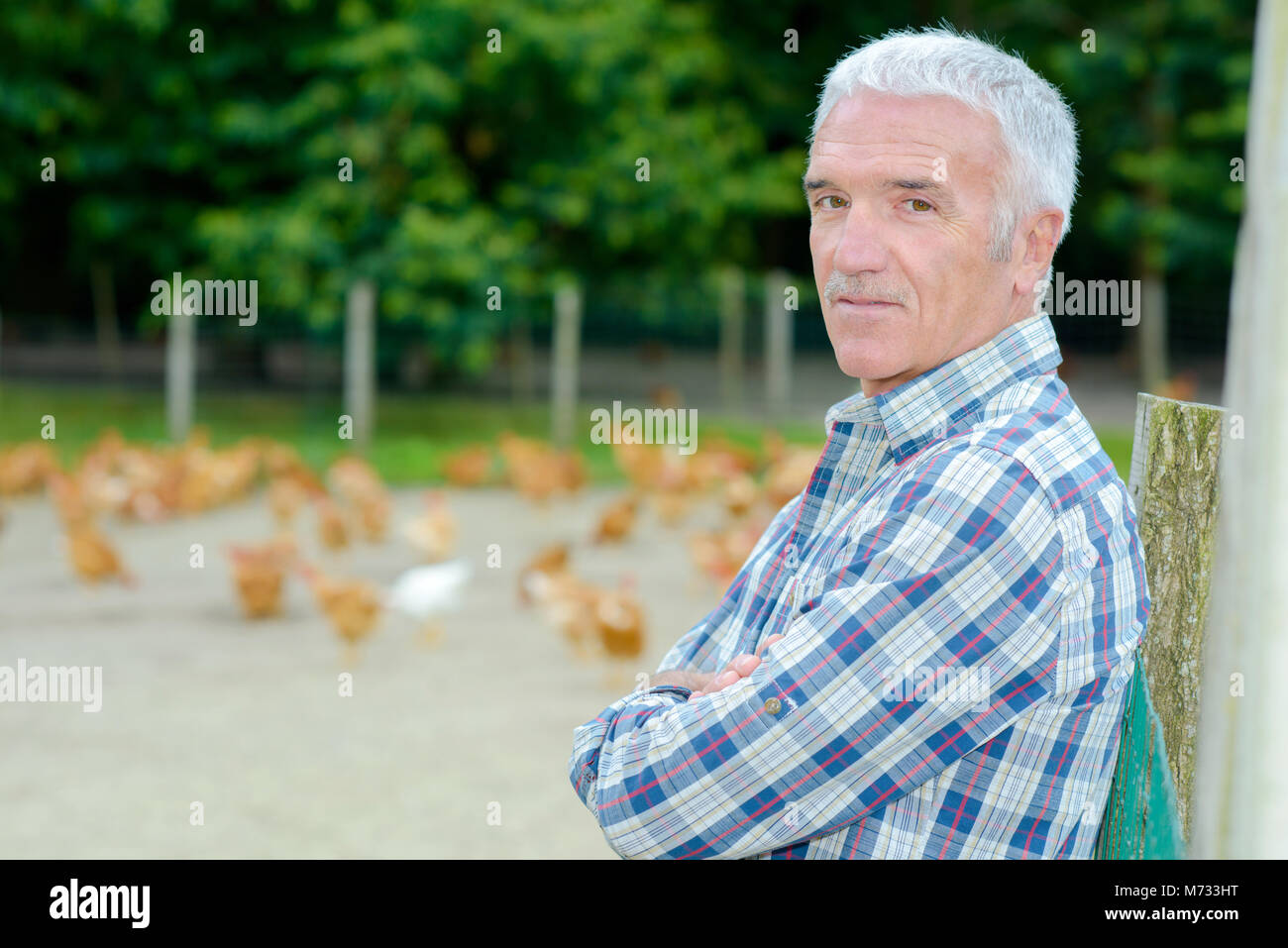 Portrait of man with free range chickens Stock Photo - Alamy