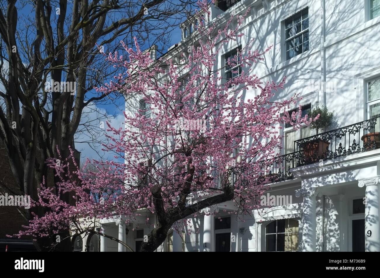 London in Springtime Stock Photo - Alamy