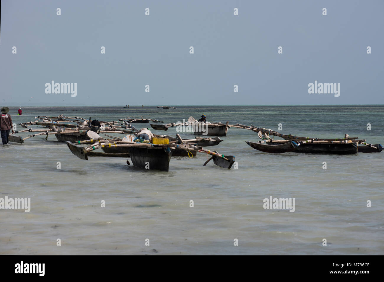 Dhow traditional fishing vessels in Jambiani harbour Zanzibar Tanzania ...