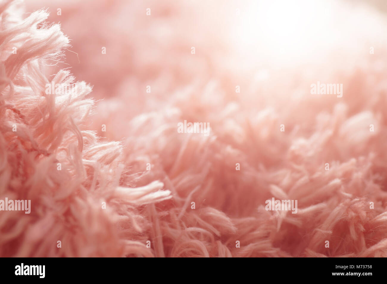 close up soft pink cotton carpet and abstract background Stock Photo ...