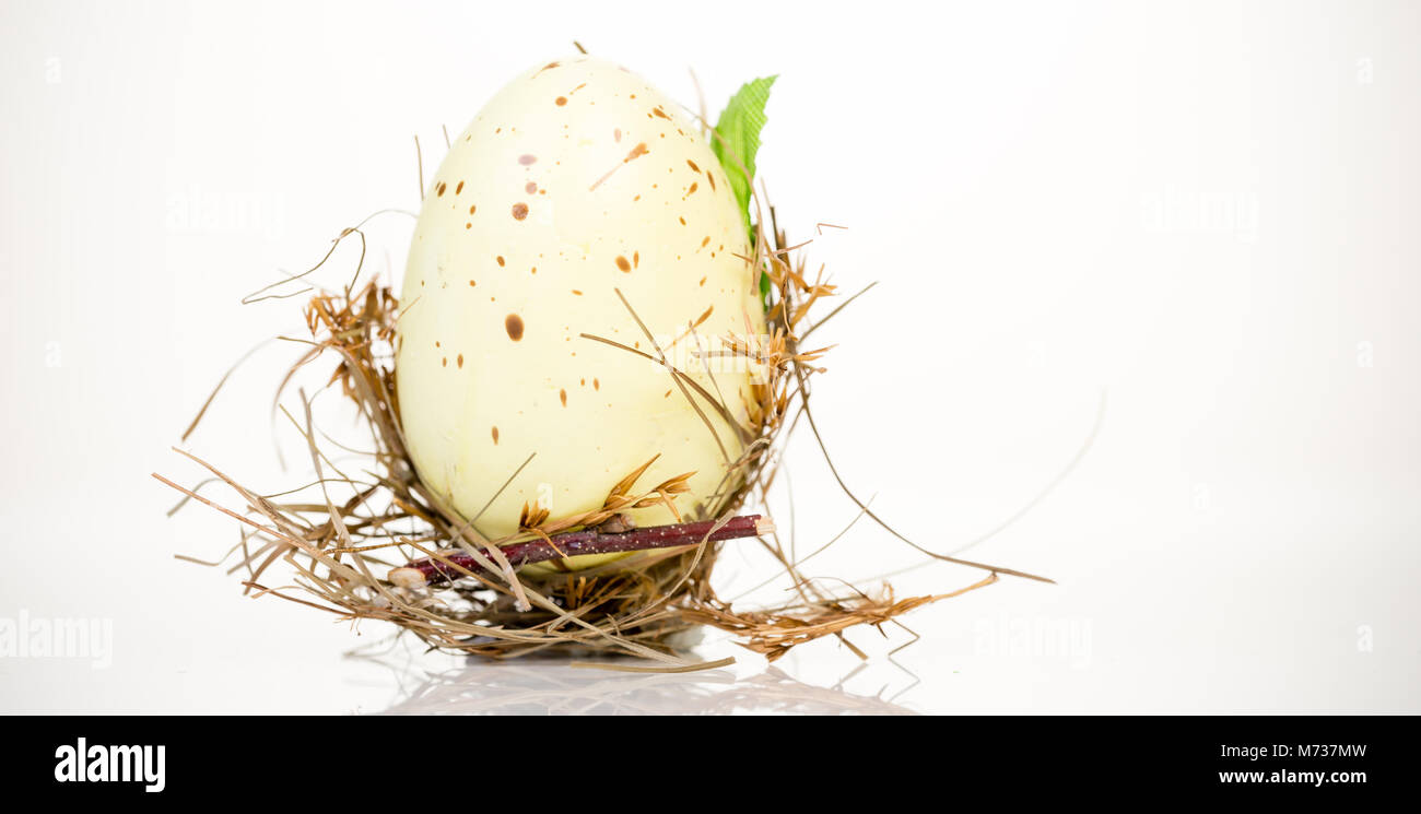 one Easter egg in hay nest banner with empty space Stock Photo - Alamy