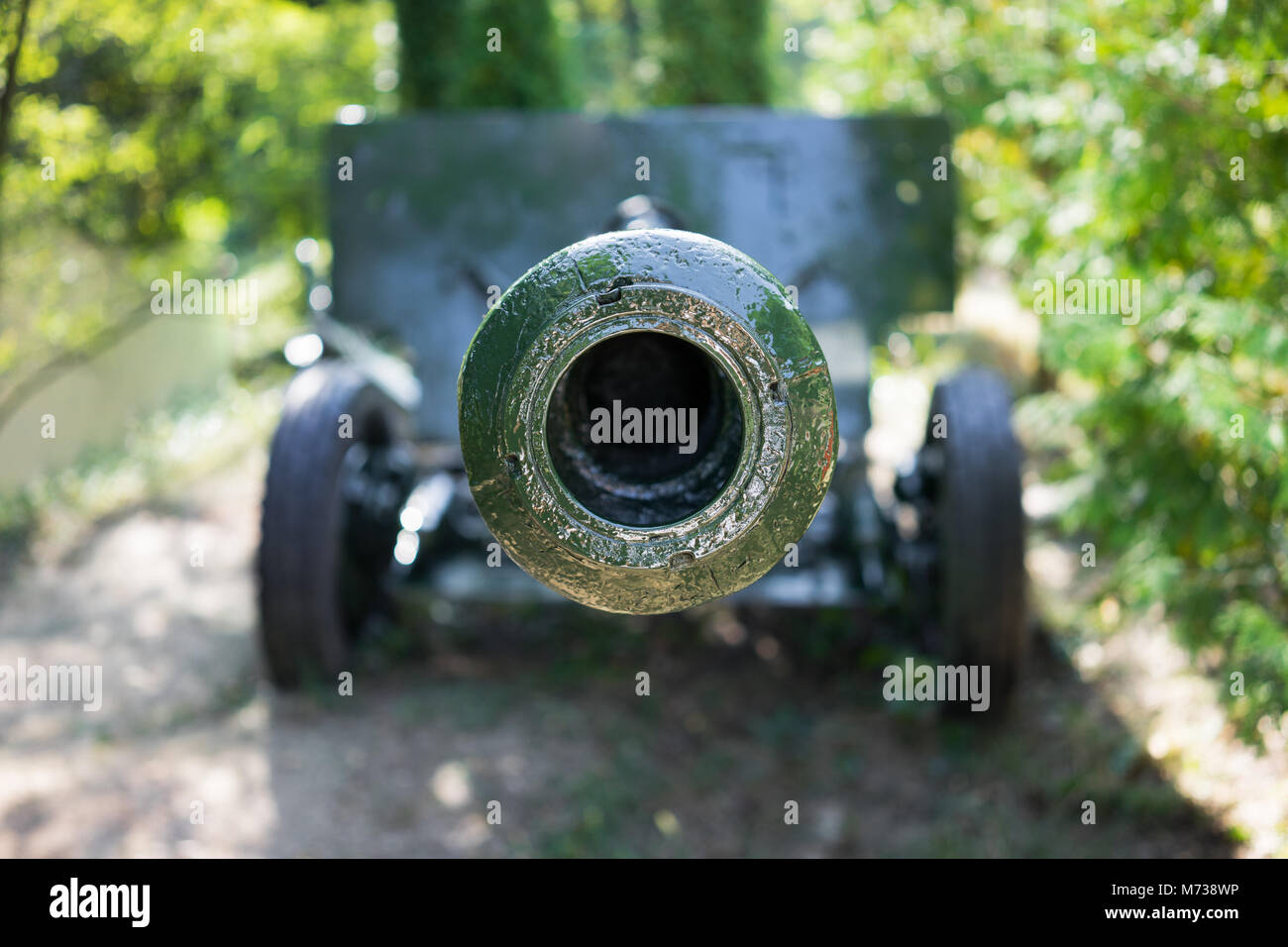 In front of the old cannon Stock Photo - Alamy